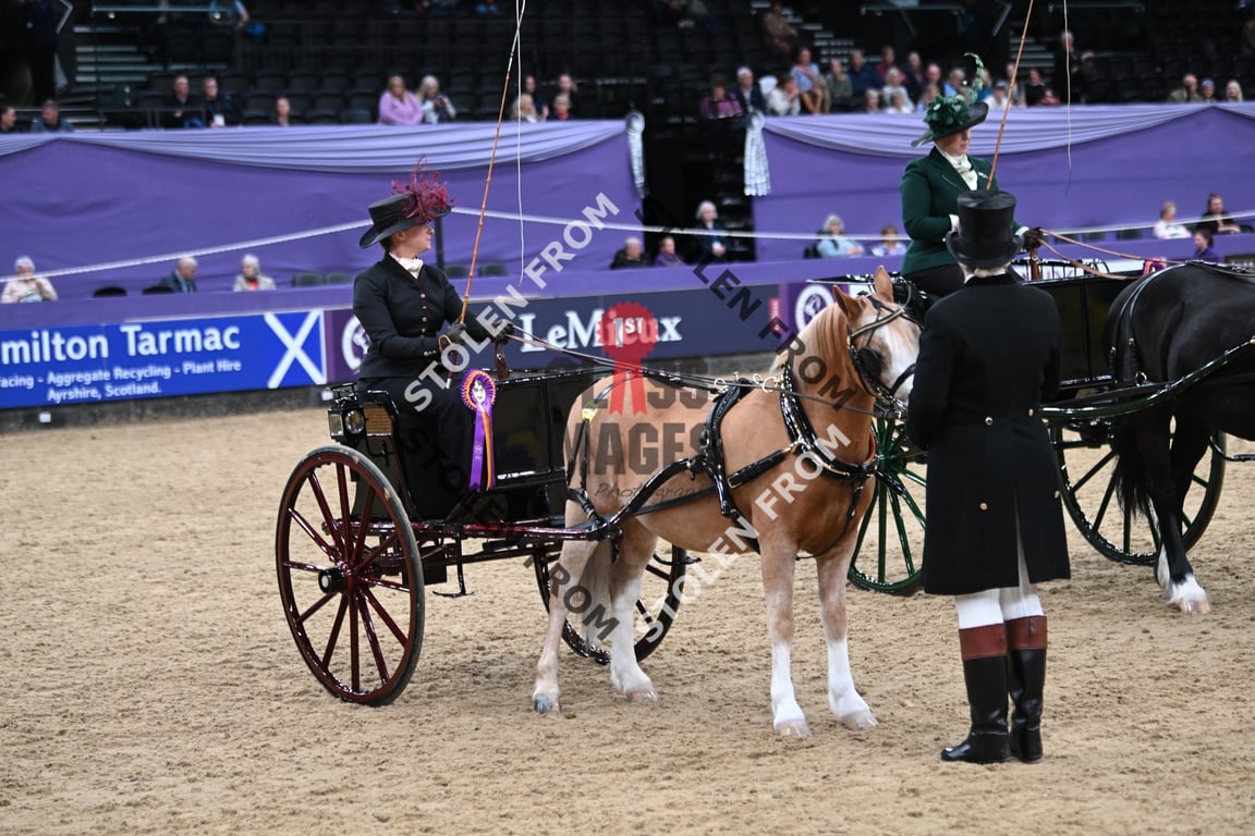 ND1_7829 2024 - 1st Class Images