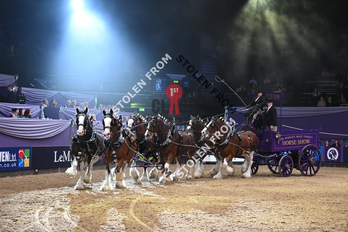 ND1_9256 2024 - 1st Class Images