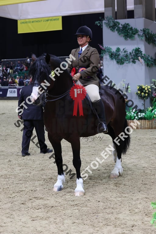 AD1_9495 2024 - 1st Class Images