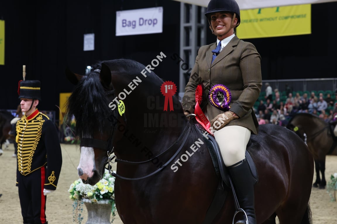 AD1_9498 2024 - 1st Class Images