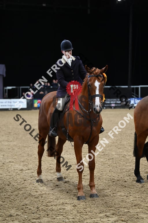 ND1_9833 2024 - 1st Class Images