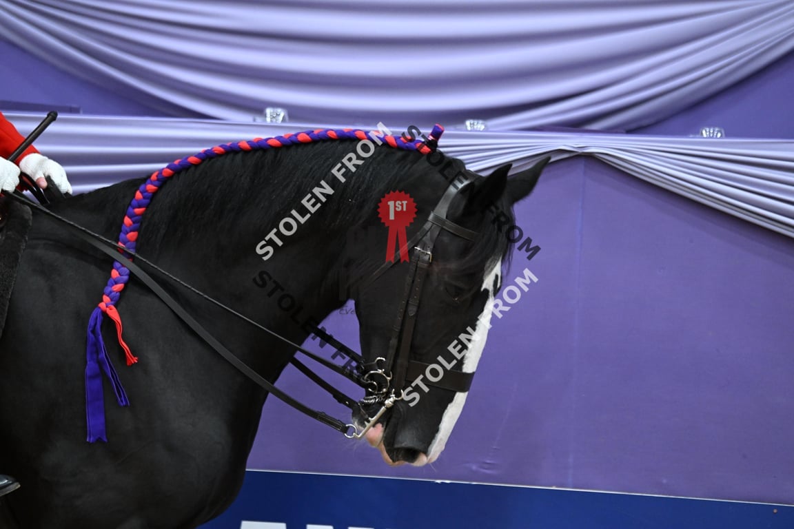 ND2_1261 2024 - 1st Class Images