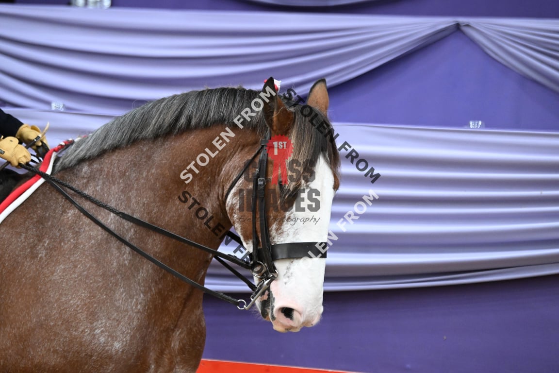 ND2_1271 2024 - 1st Class Images