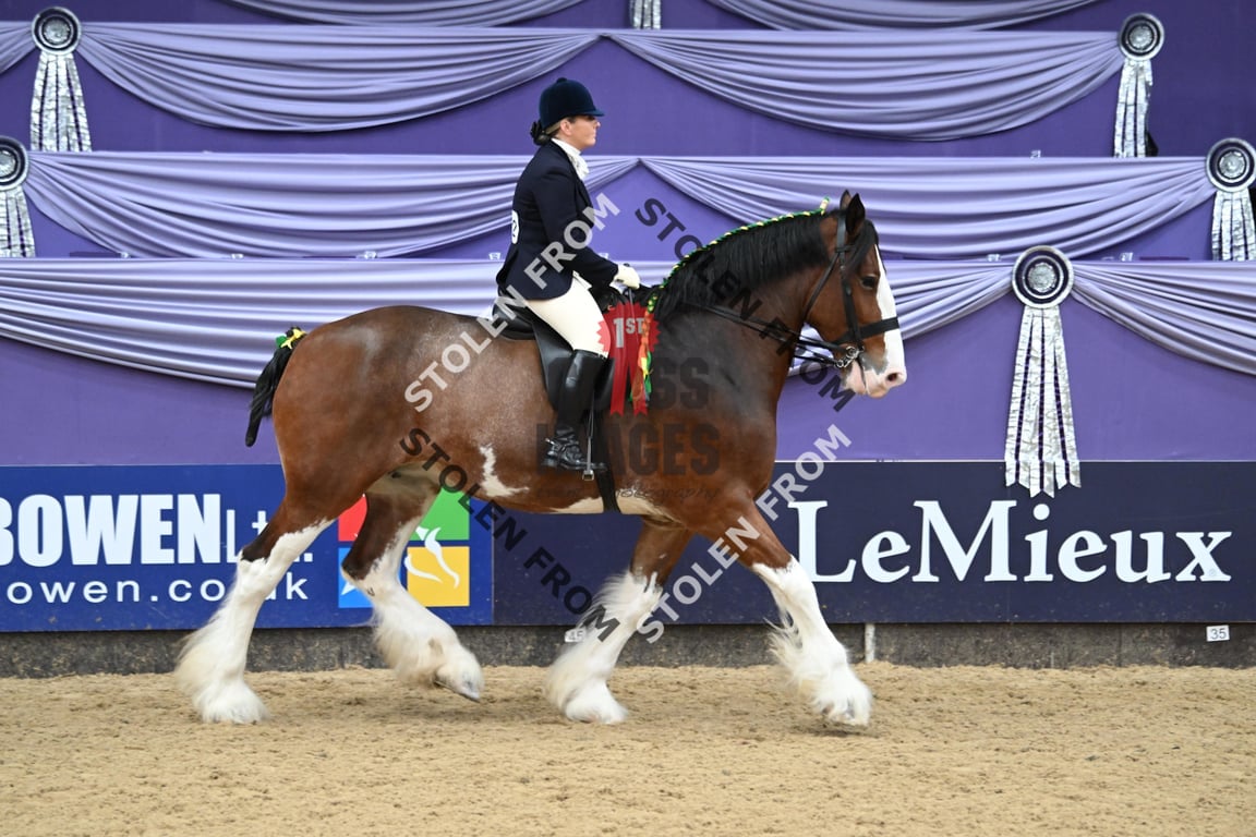 ND2_1286 2024 - 1st Class Images