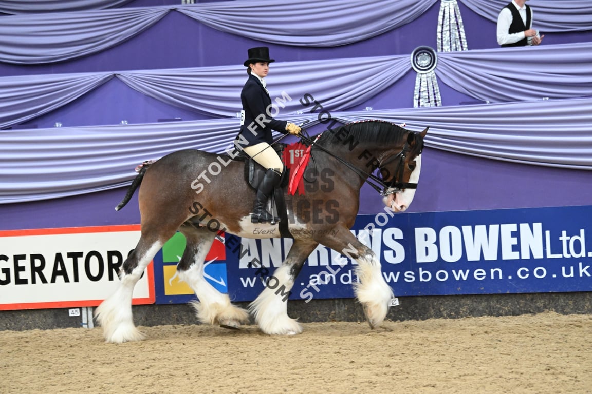 ND2_1291 2024 - 1st Class Images