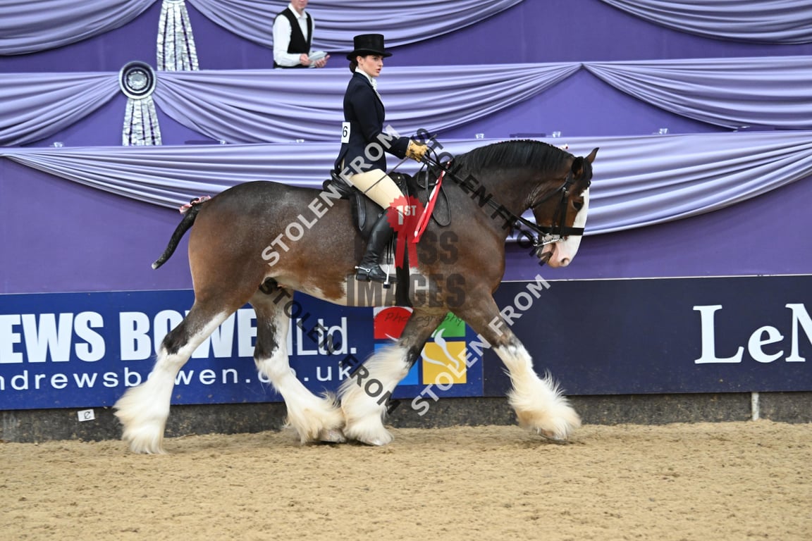 ND2_1292 2024 - 1st Class Images