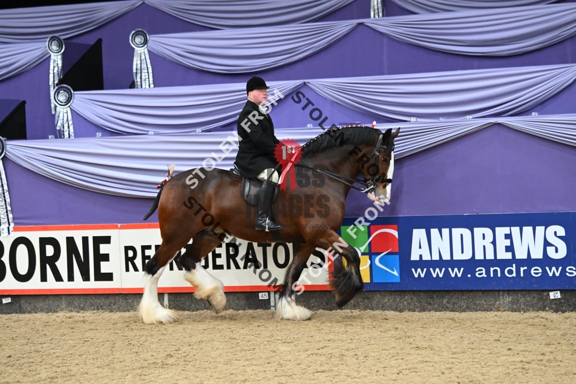 ND2_1320 2024 - 1st Class Images