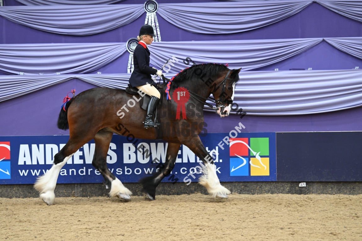 ND2_1324 2024 - 1st Class Images