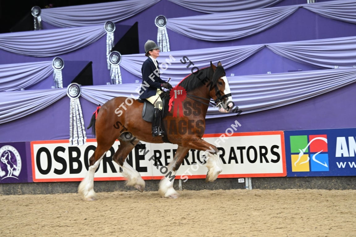 ND2_1327 2024 - 1st Class Images