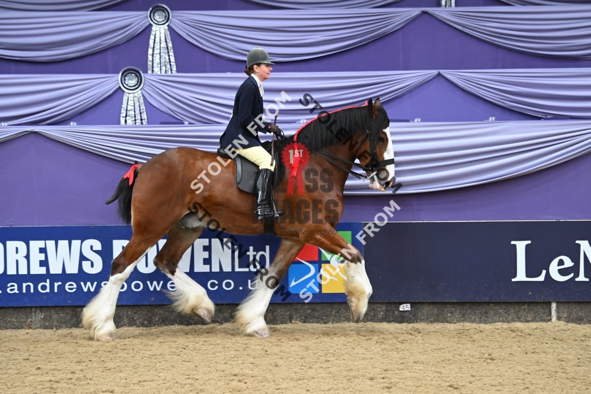 ND2_1329 2024 - 1st Class Images