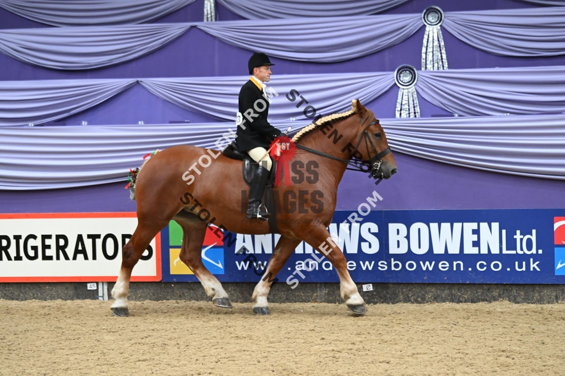 ND2_1335 2024 - 1st Class Images