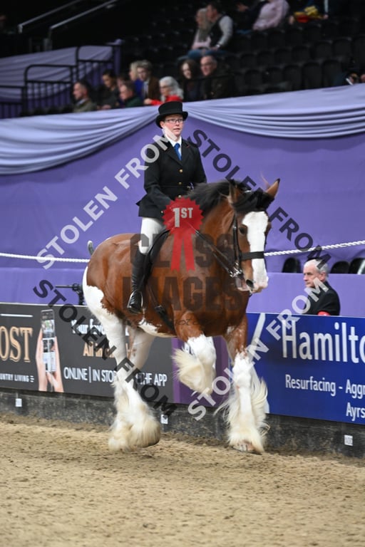 ND2_1362 2024 - 1st Class Images