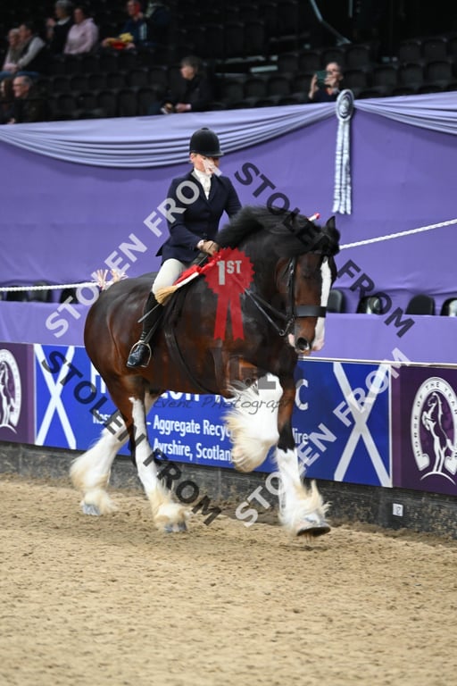 ND2_1394 2024 - 1st Class Images