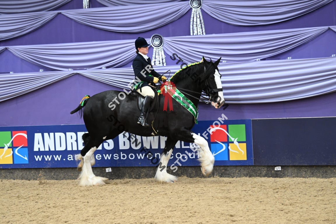 ND2_1456 2024 - 1st Class Images