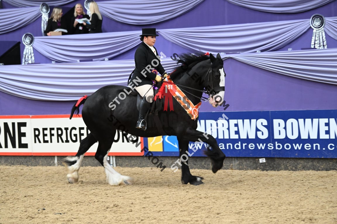 ND2_1463 2024 - 1st Class Images