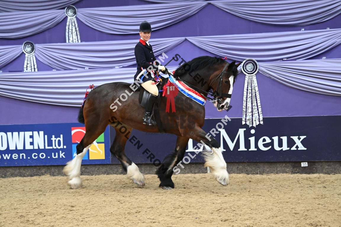 ND2_1469 2024 - 1st Class Images