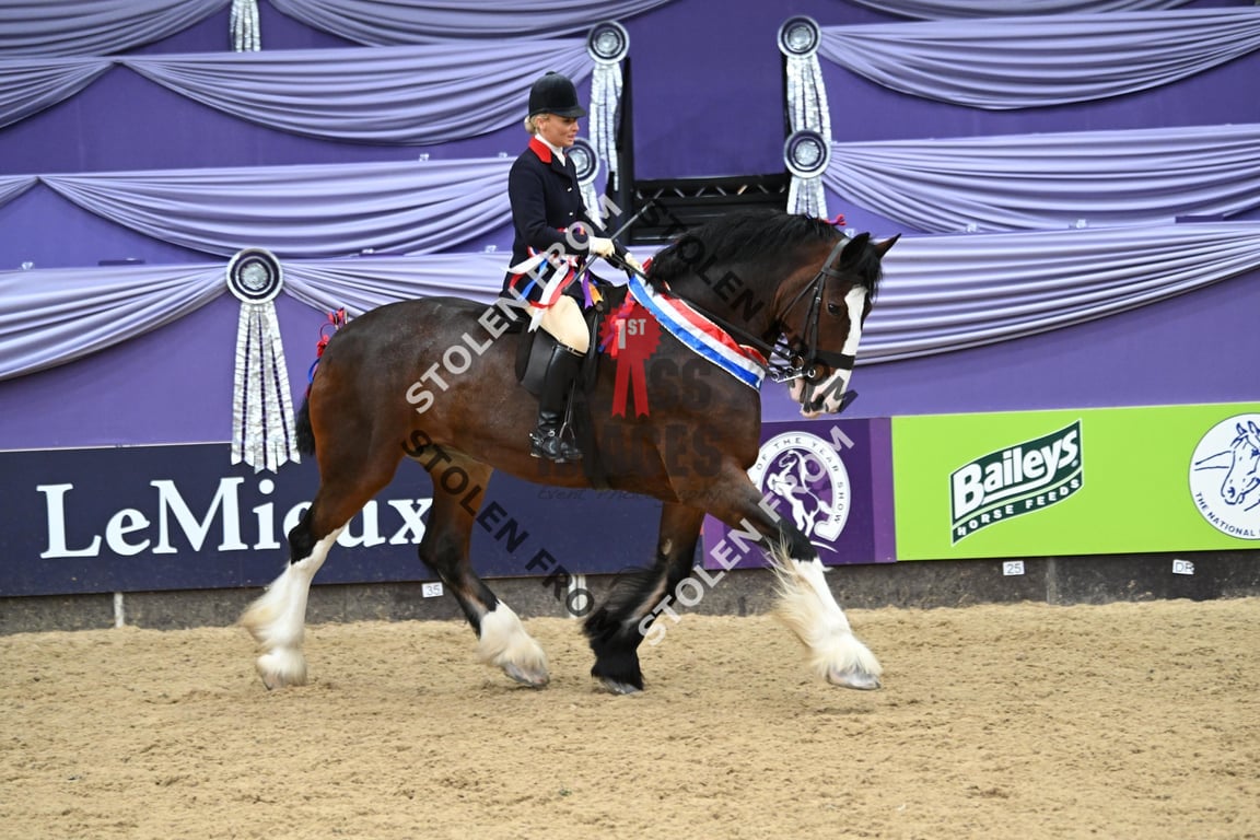 ND2_1470 2024 - 1st Class Images