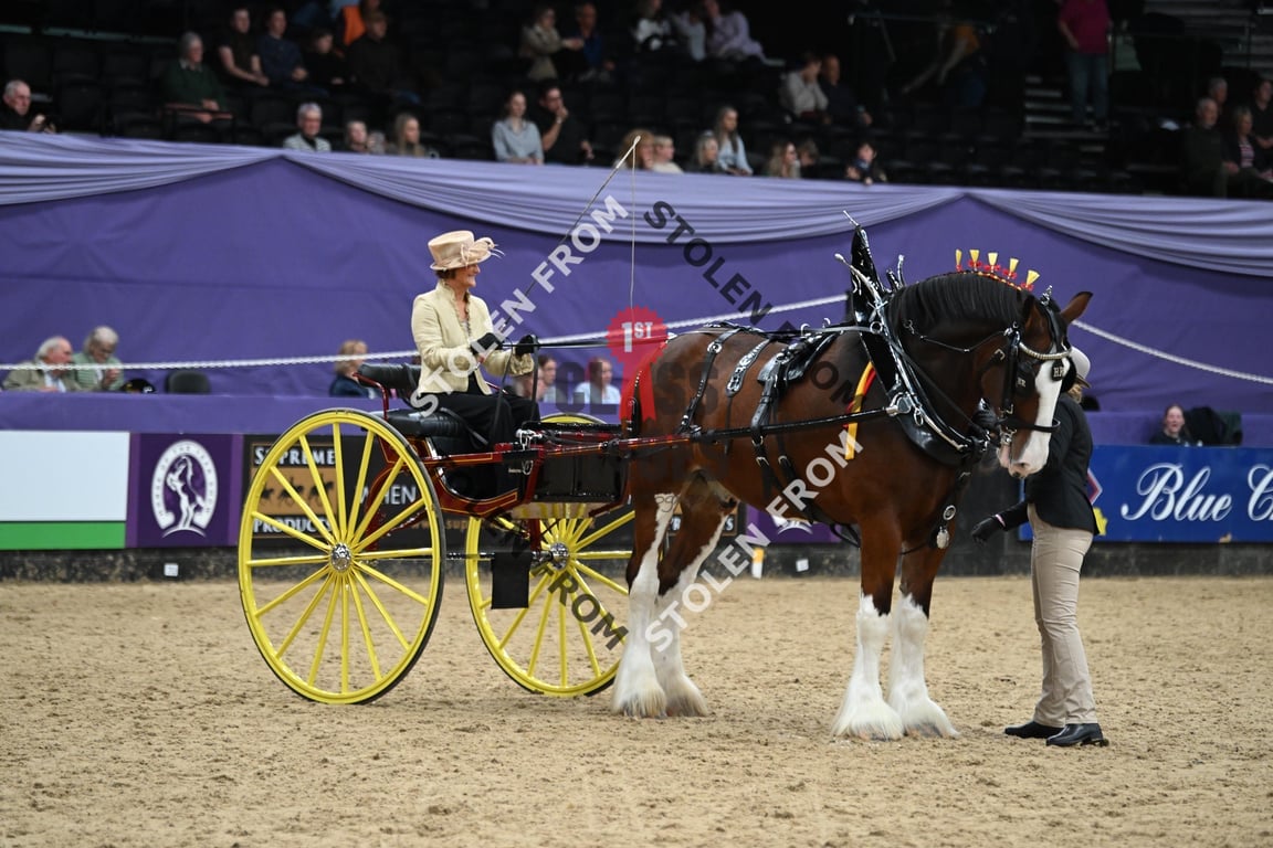 ND2_3148 2024 - 1st Class Images