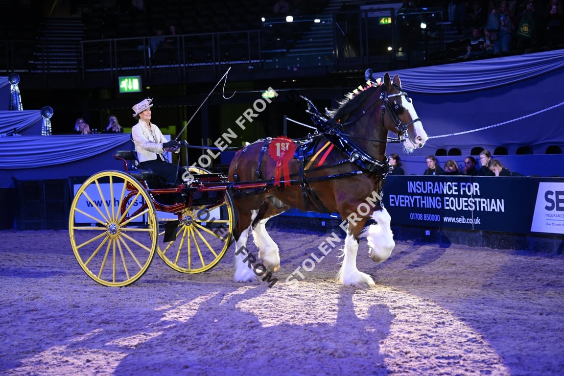 ND2_3164 2024 - 1st Class Images