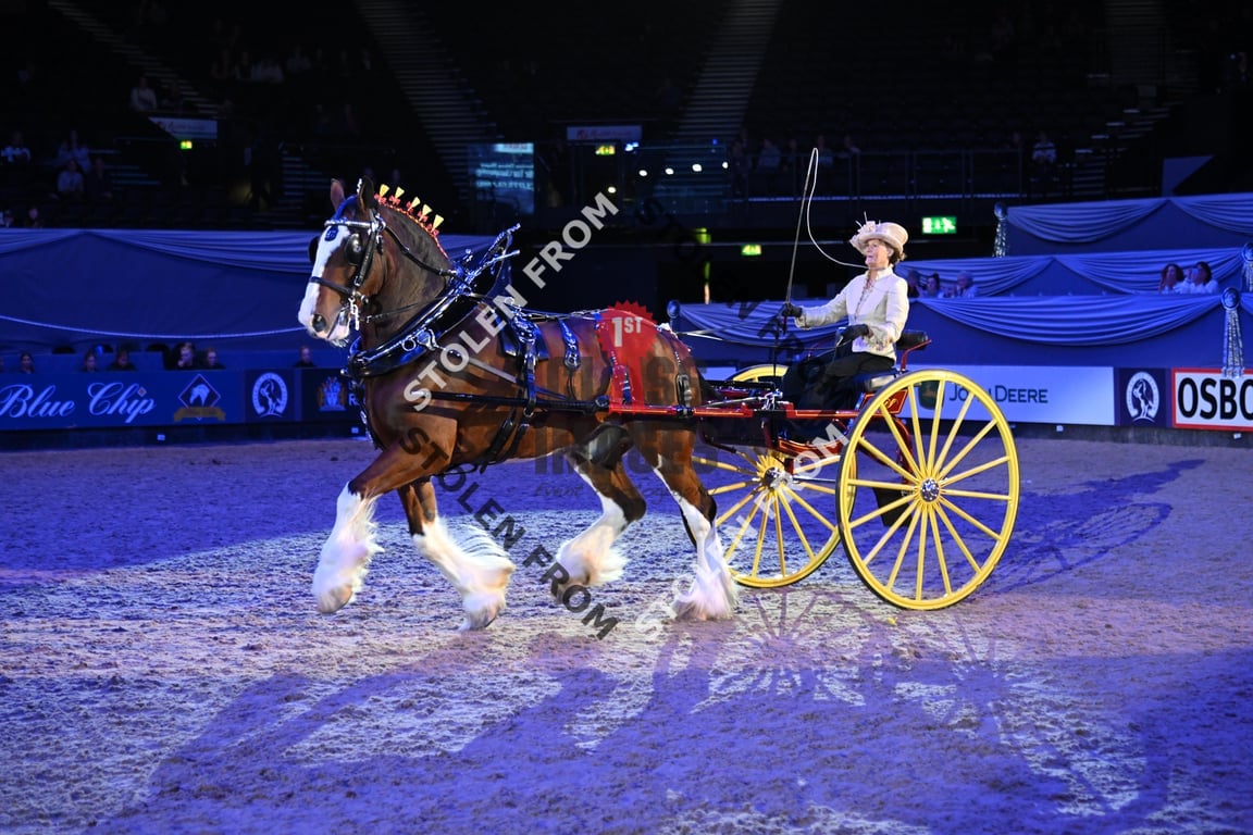 ND2_3167 2024 - 1st Class Images