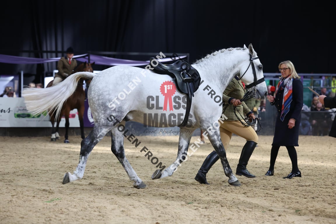 BD3_0773 2024 - 1st Class Images