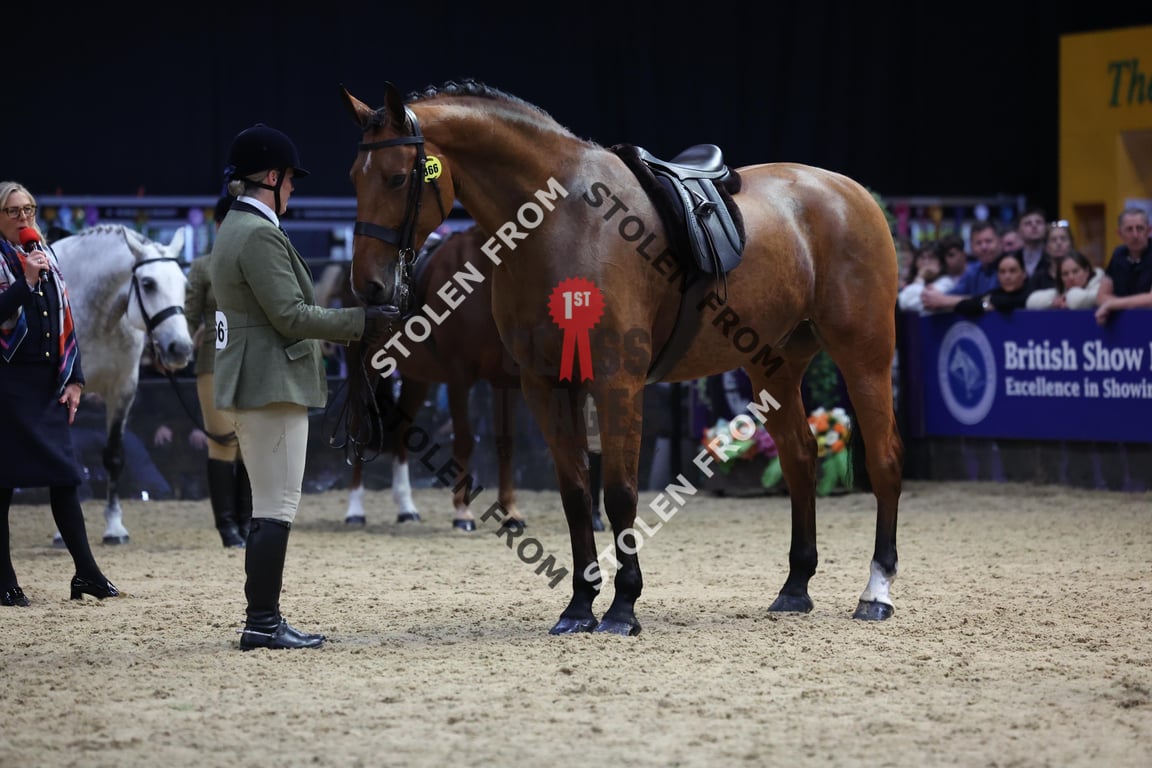 BD3_0795 2024 - 1st Class Images