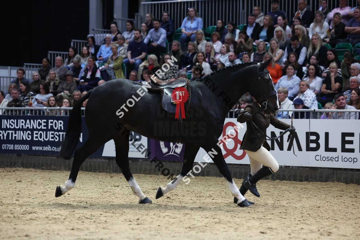 BD3_0818 2024 - 1st Class Images