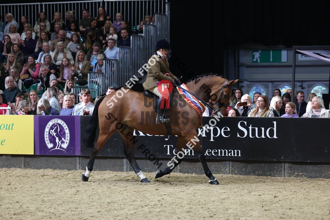 BD3_1011 2024 - 1st Class Images