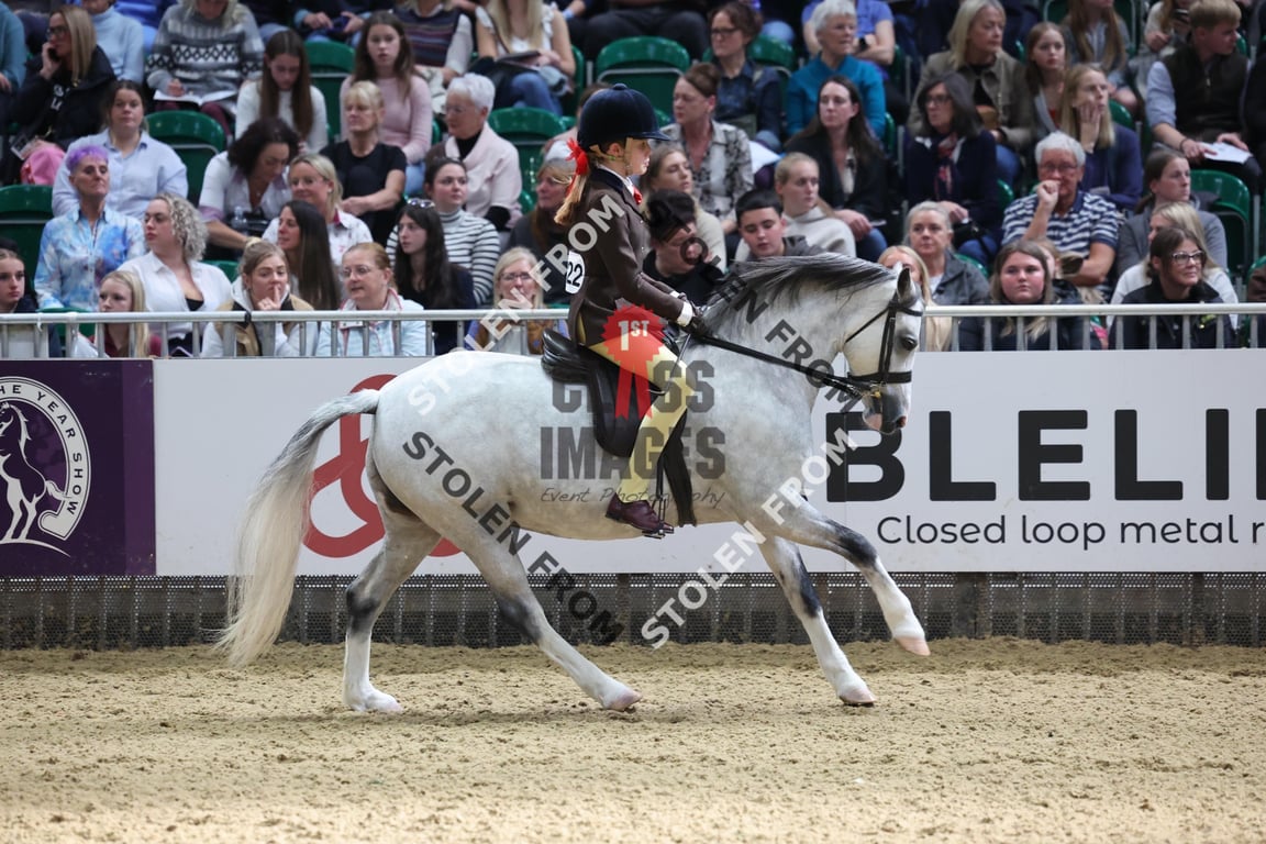 BD3_1236 2024 - 1st Class Images