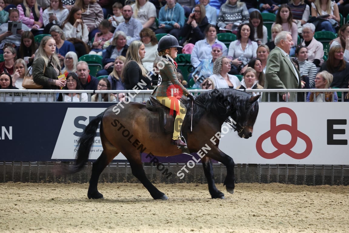 BD3_1241 2024 - 1st Class Images