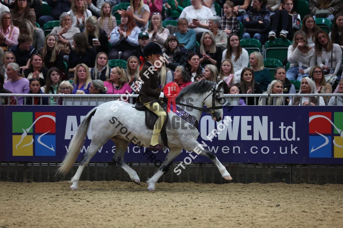 BD3_1354 2024 - 1st Class Images