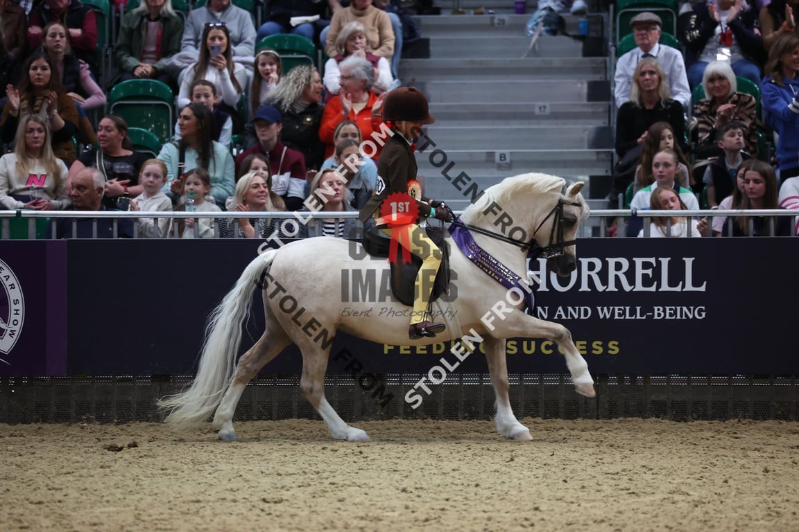 BD3_1366 2024 - 1st Class Images