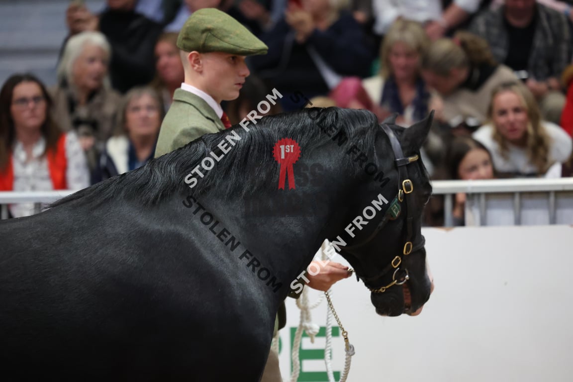 BD3_1605 2024 - 1st Class Images