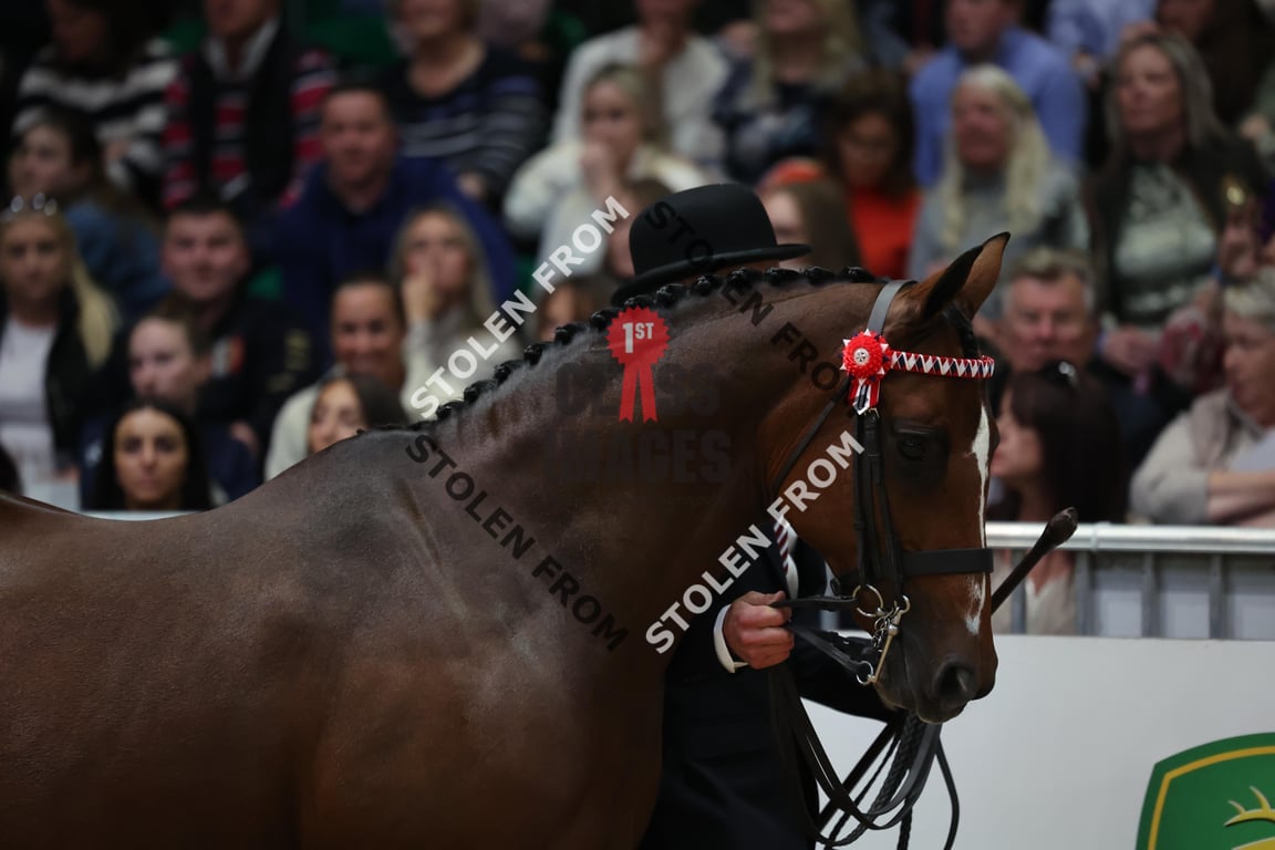 BD3_1625 2024 - 1st Class Images