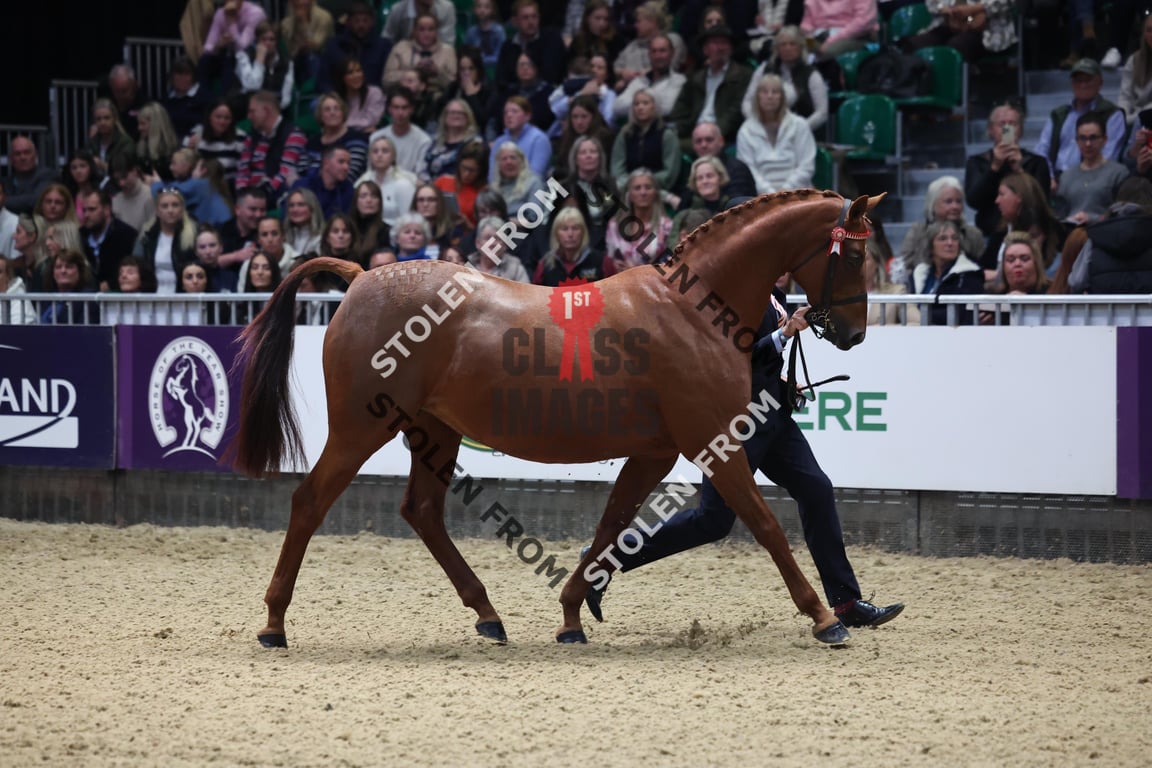 BD3_1666 2024 - 1st Class Images