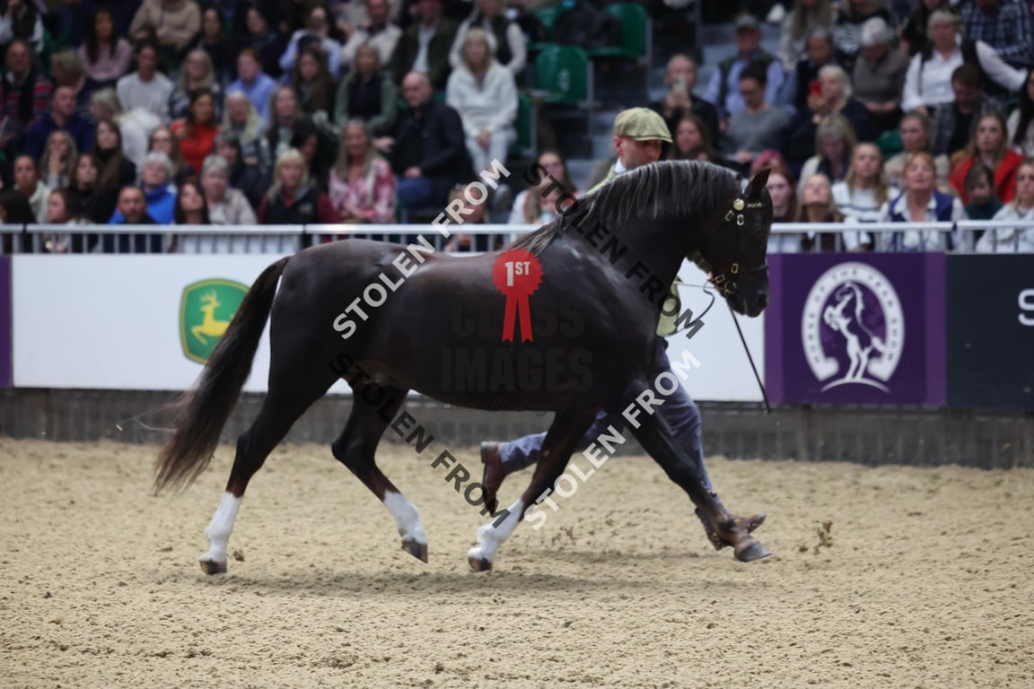 BD3_1672 2024 - 1st Class Images