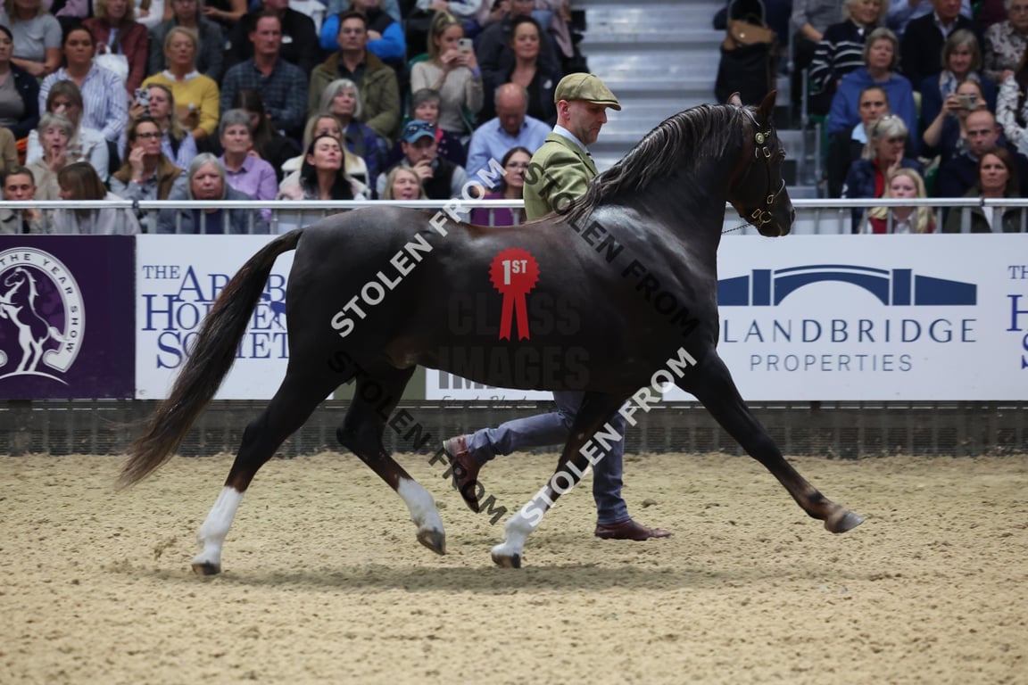 BD3_1675 2024 - 1st Class Images