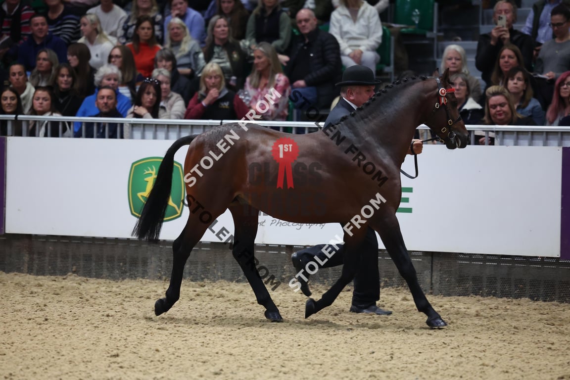 BD3_1685 2024 - 1st Class Images