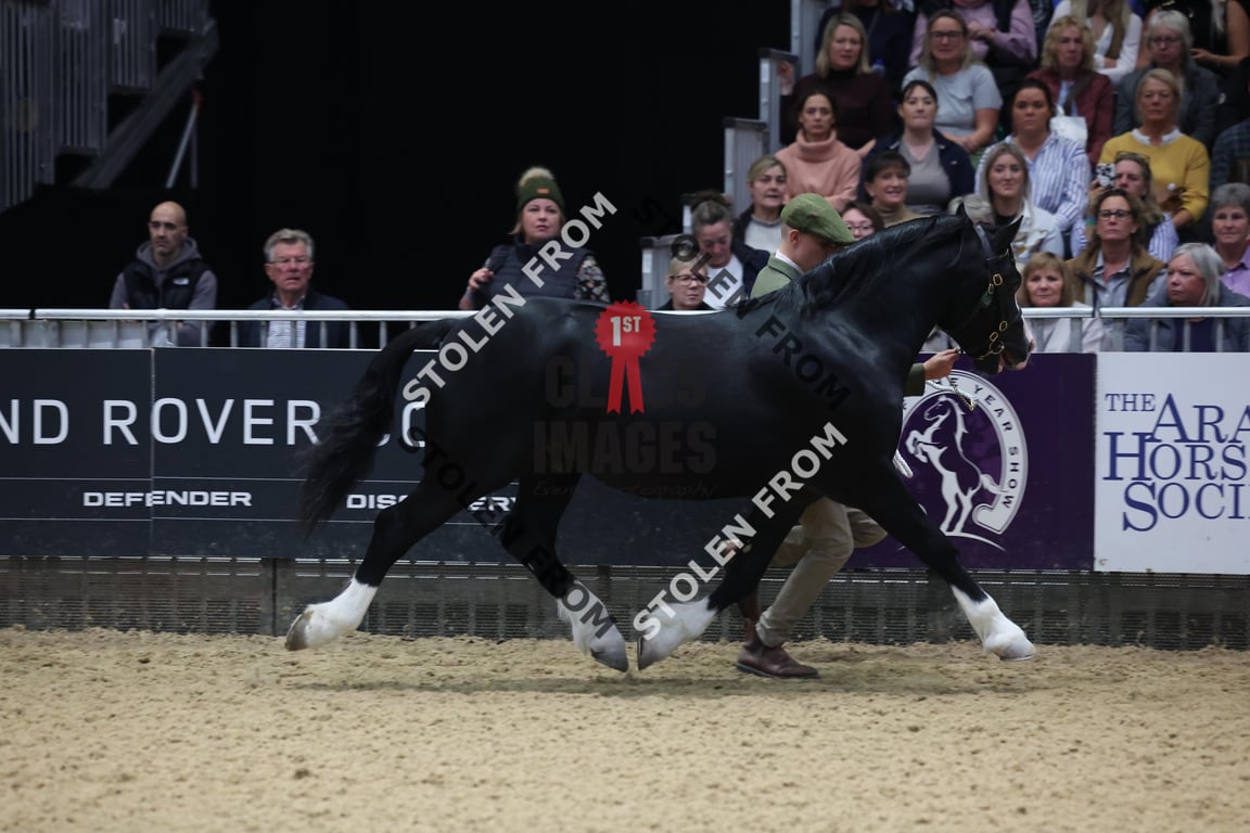 BD3_1692 2024 - 1st Class Images