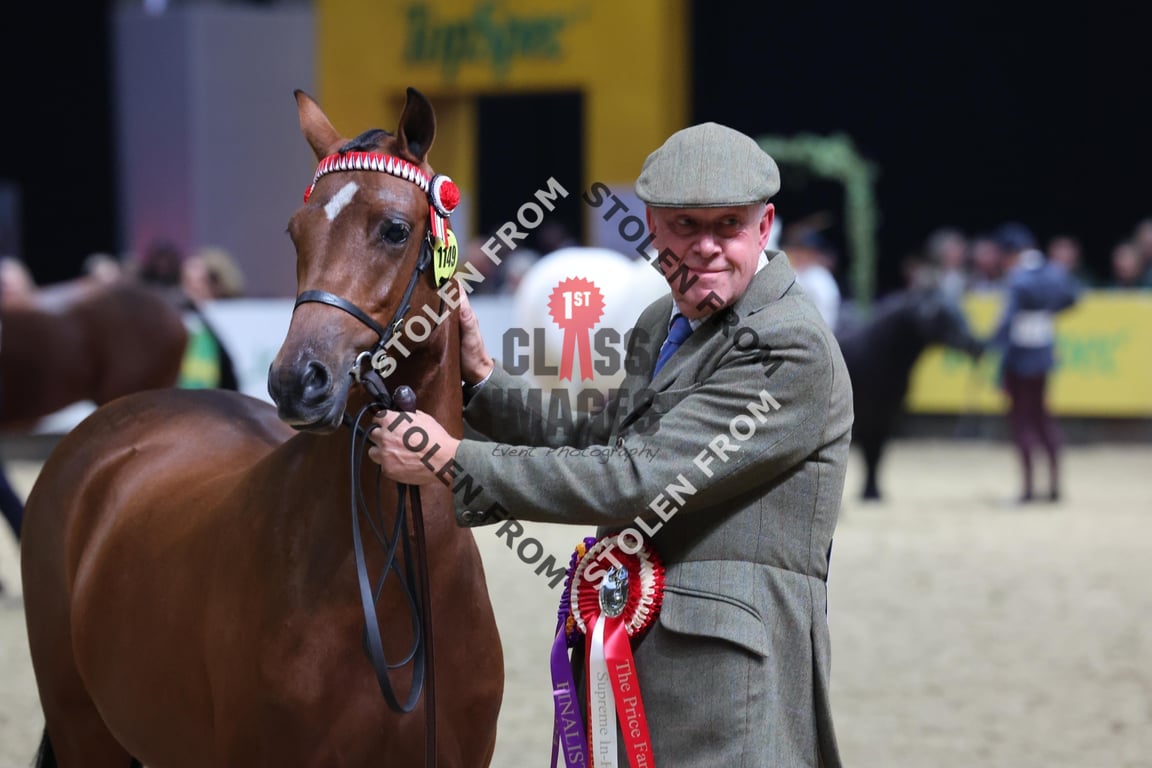 BD3_1739 2024 - 1st Class Images