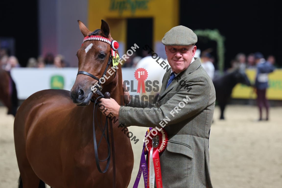 BD3_1740 2024 - 1st Class Images