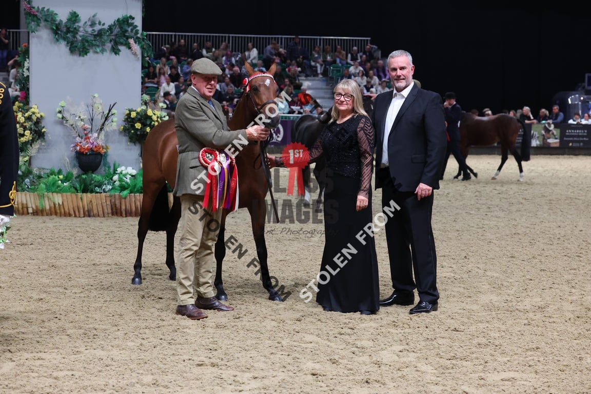 BD3_1755 2024 - 1st Class Images