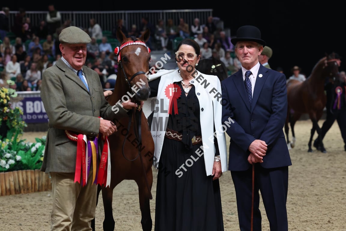 BD3_1765 2024 - 1st Class Images