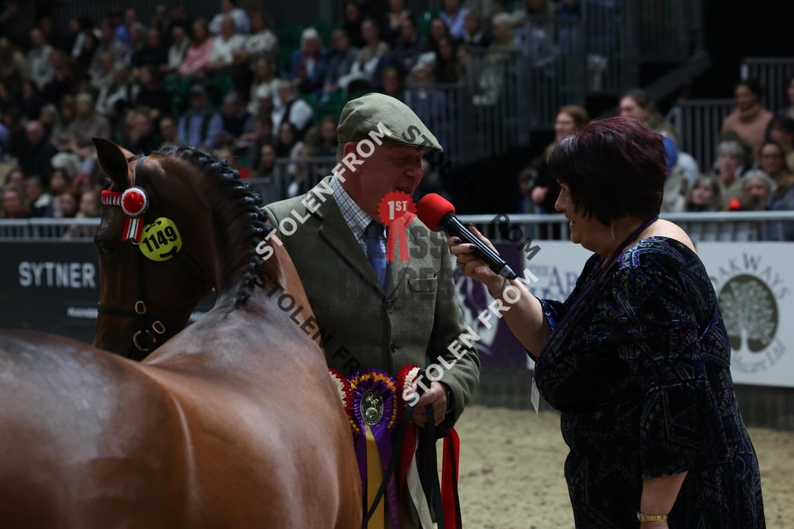 BD3_1777 2024 - 1st Class Images