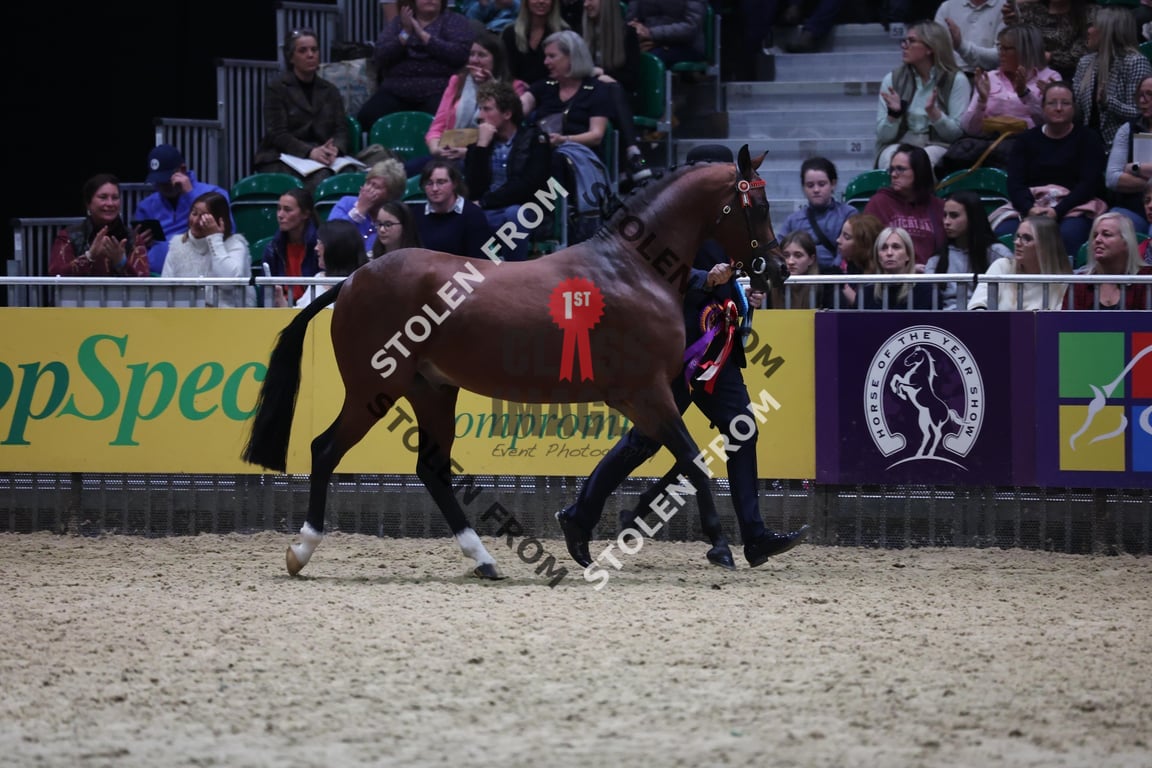 BD3_1803 2024 - 1st Class Images