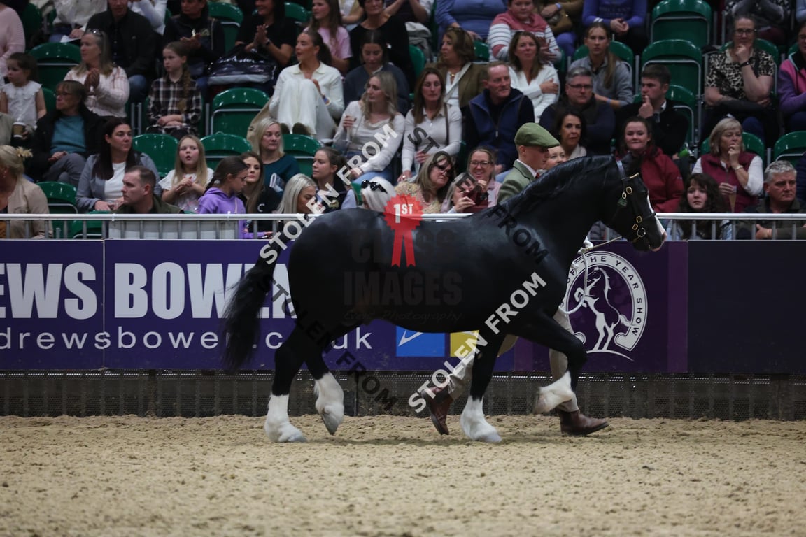 BD3_1809 2024 - 1st Class Images