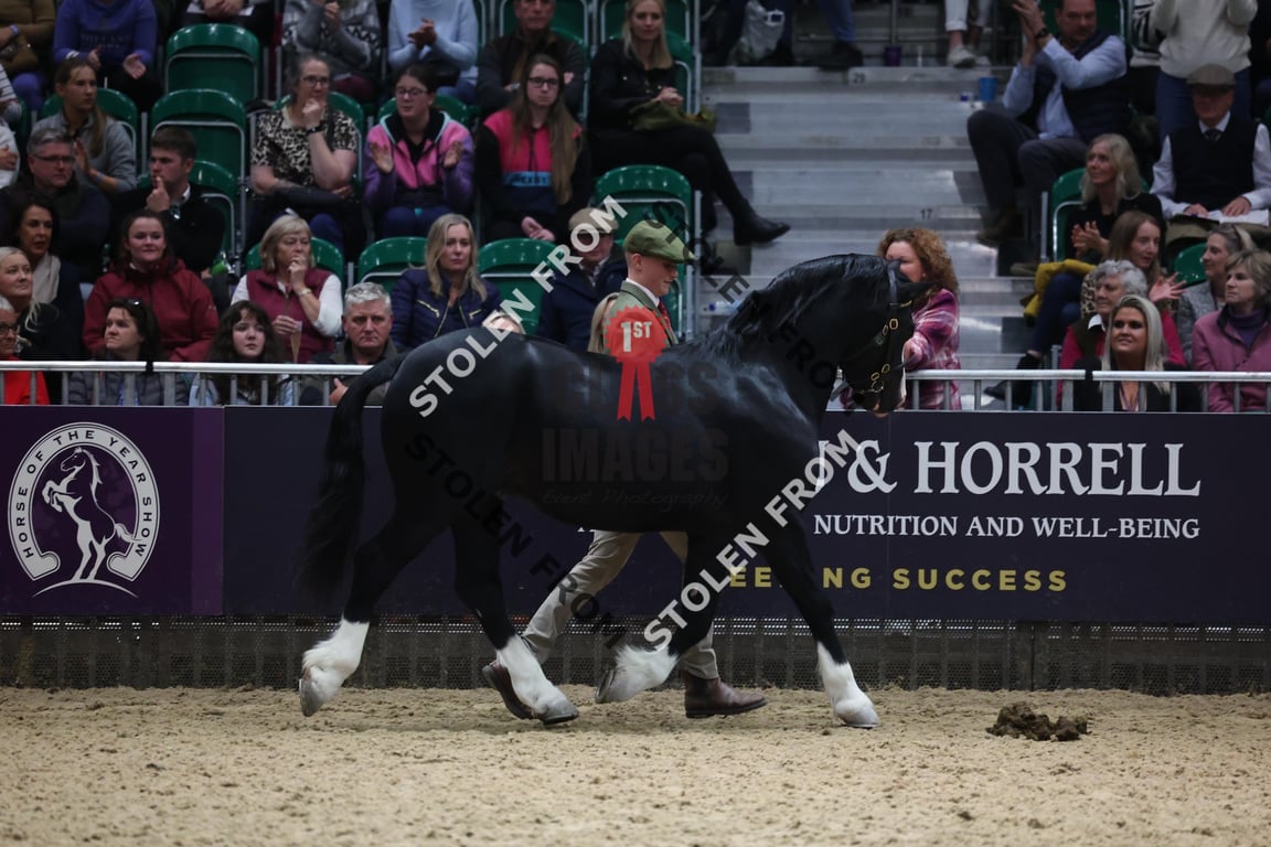 BD3_1810 2024 - 1st Class Images