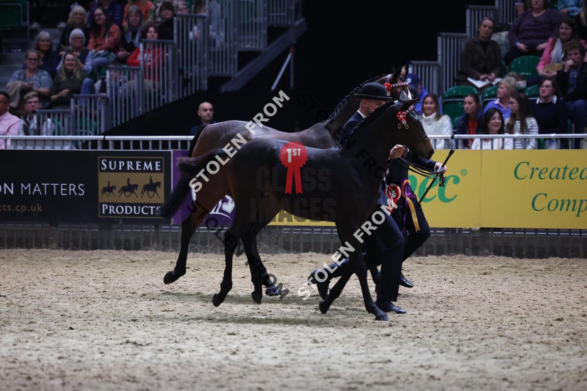 BD3_1811 2024 - 1st Class Images