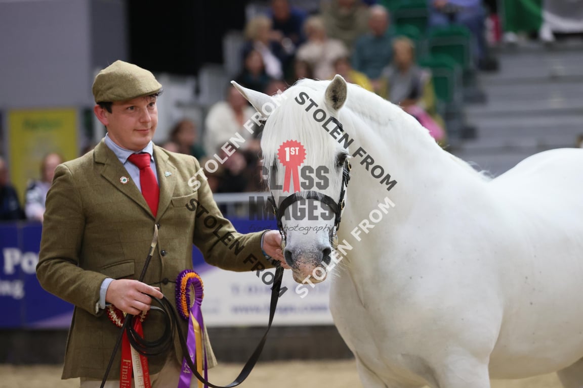 DD3_2043 2024 - 1st Class Images