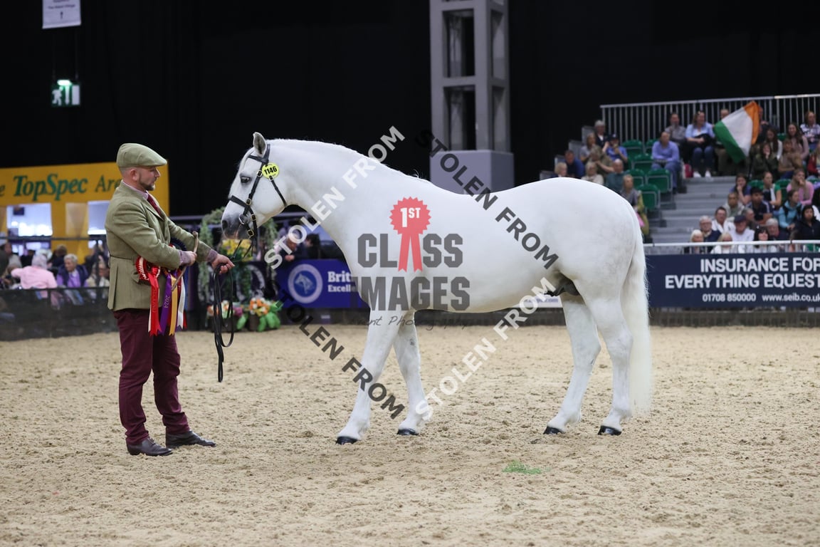 DD3_2054 2024 - 1st Class Images